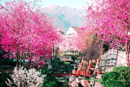 When is the Best Time to Visit China? - Luxury Trip Asia